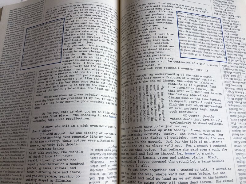 Review: House of Leaves by Mark Z. Danielewski - Literary Quicksand