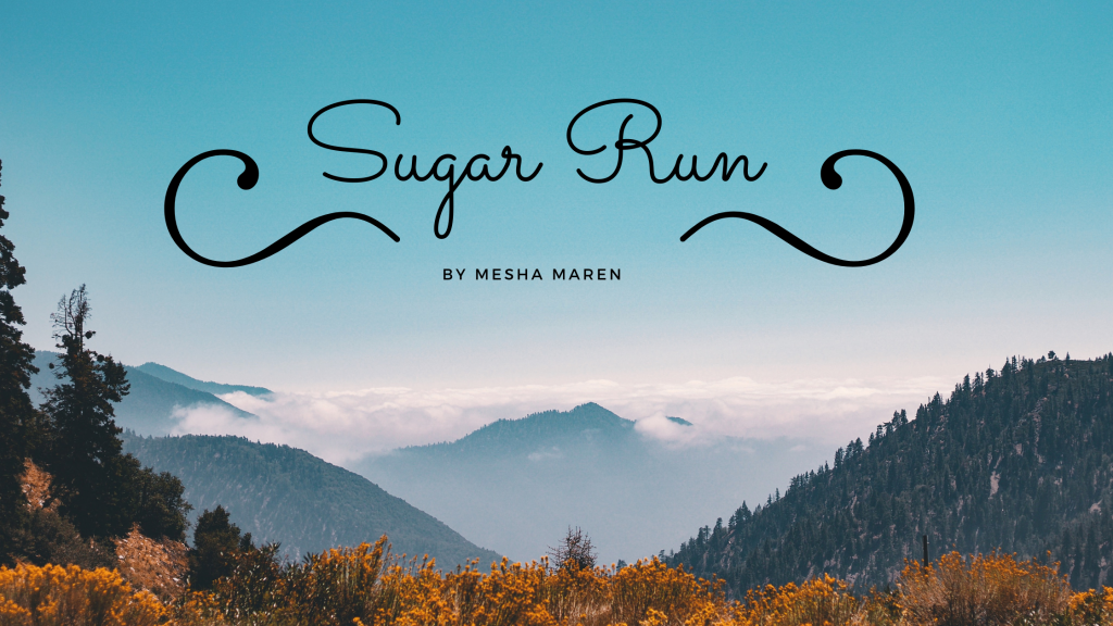 Review: Sugar Run - Literary Quicksand